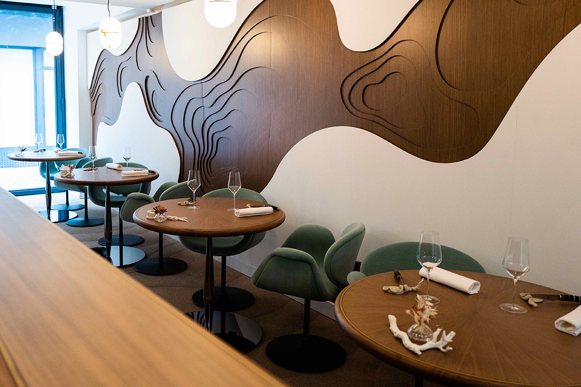 Entre héritage et innovation : Tom Meyer | Paris Capitale